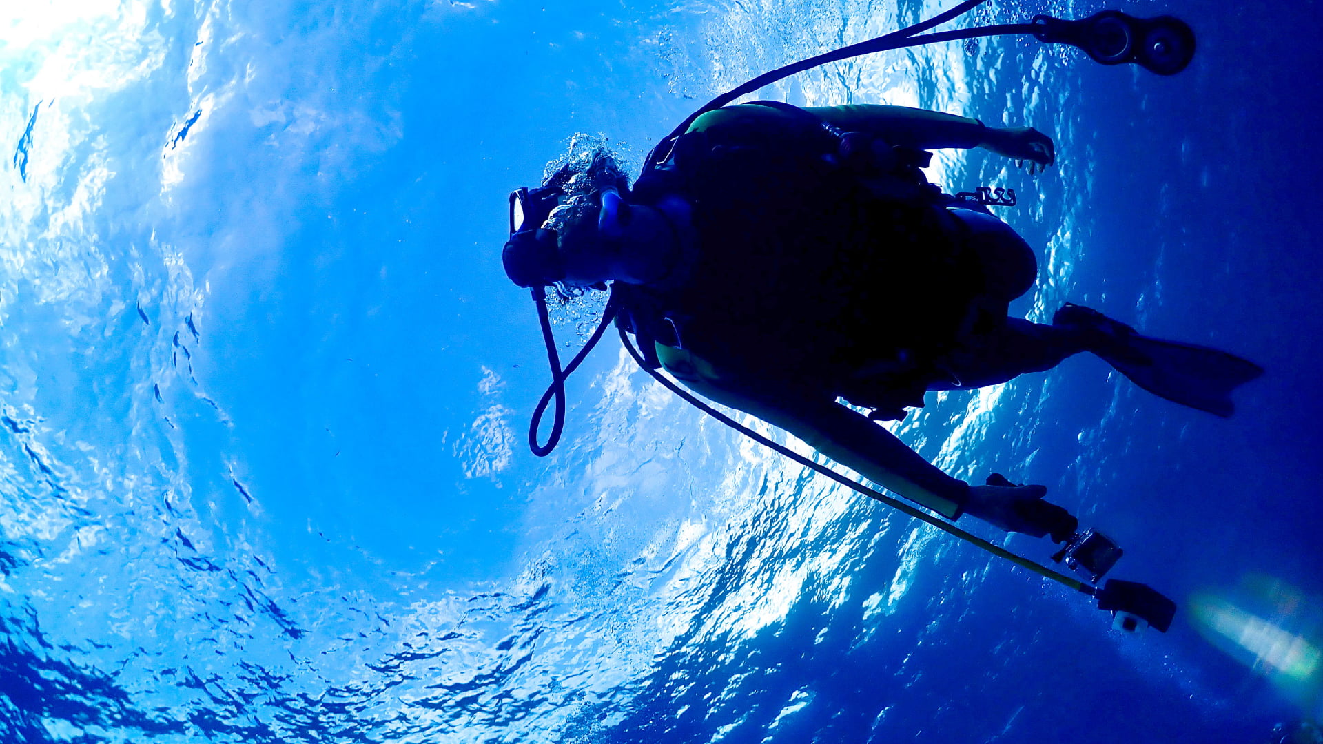 ダイビング – isola